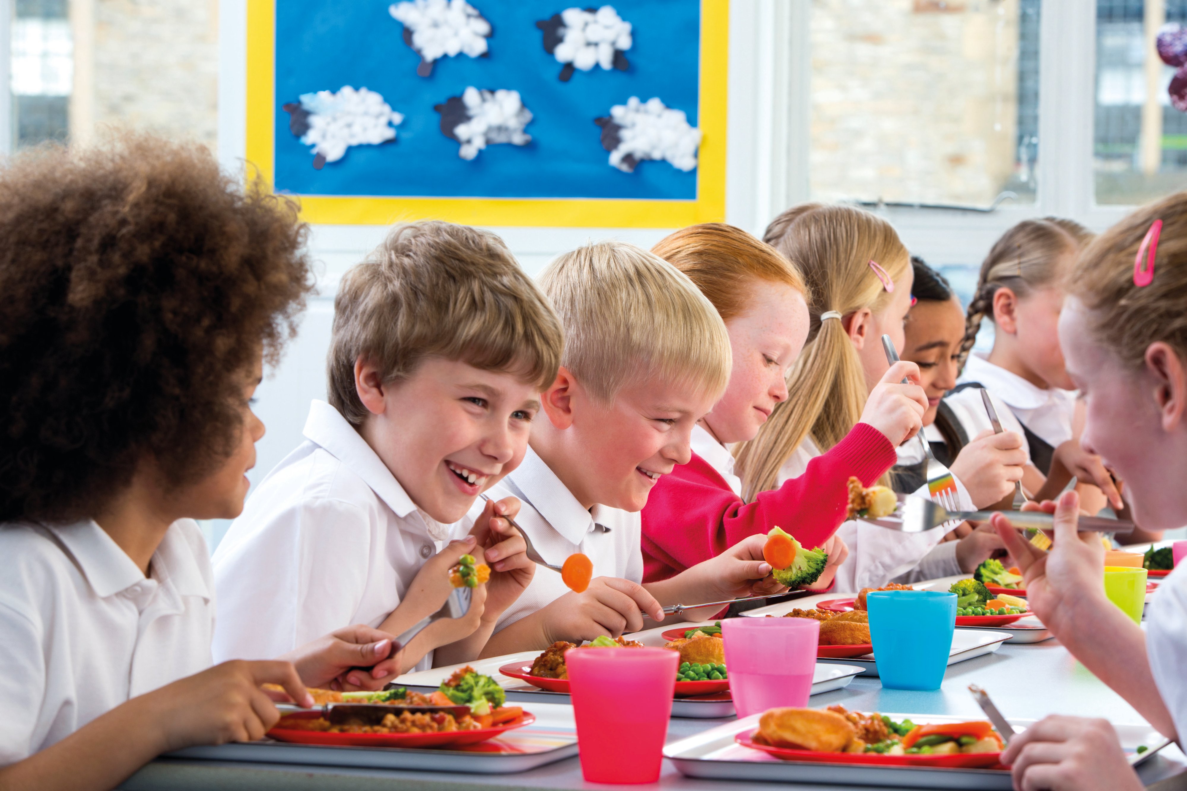 School Meals by apetito - Don't Settle for Less